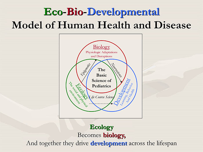 Modelul eco-bio – noua paradigmă în dezvoltarea umană | Centrul de ...